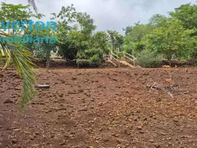 Sítio / Chácara para Venda em Uberlândia/MG Área Rural de Uberlândia