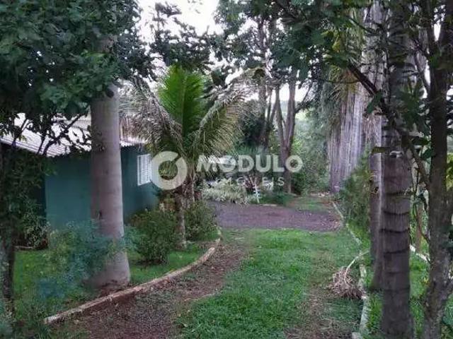 Sítio / Chácara para Venda em Uberlândia/MG Área Rural de Uberlândia 2 Quartos