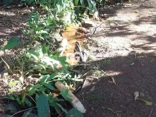 Sítio / Chácara para Venda em Uberlândia/MG Área Rural de Uberlândia 2 Quartos