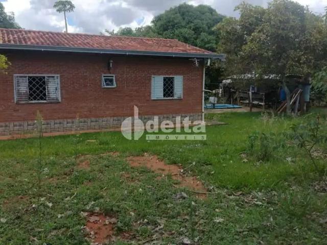 Sítio / Chácara para Venda em Uberlândia/MG Área Rural de Uberlândia 2 Quartos