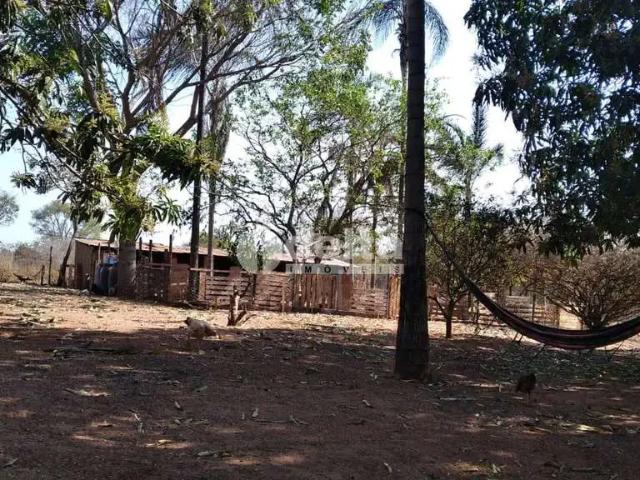 Sítio / Chácara para Venda em Uberlândia/MG Área Rural de Uberlândia 2 Quartos