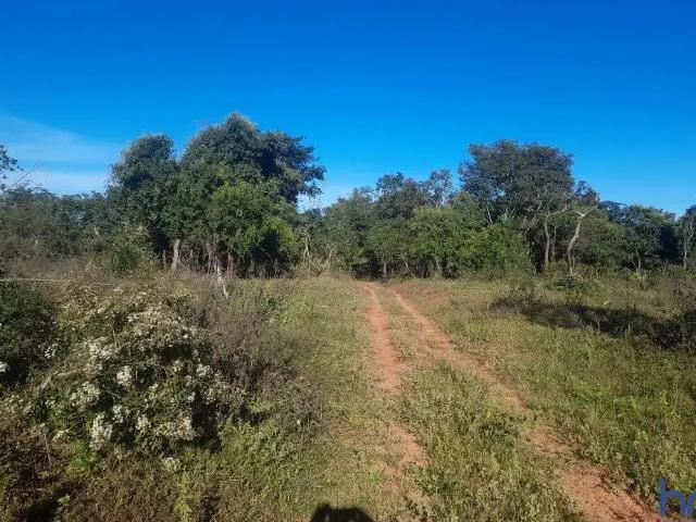 Sítio / Chácara para Venda em Uberlândia/MG Área Rural de Uberlândia