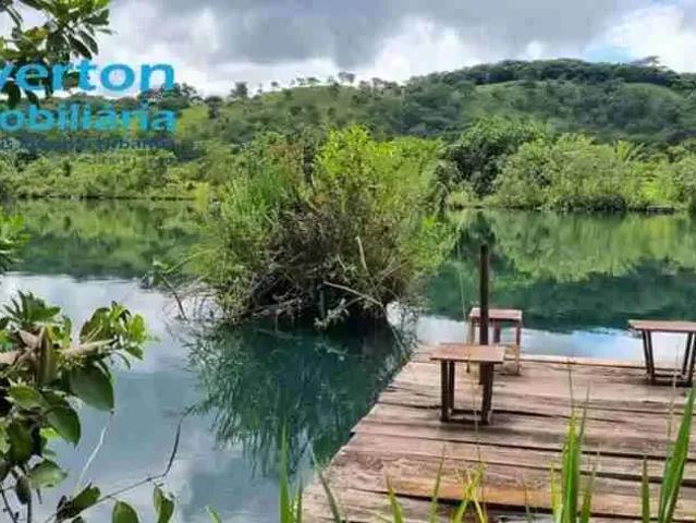 Sítio / Chácara para Venda em Uberlândia/MG Área Rural de Uberlândia 3 Quartos