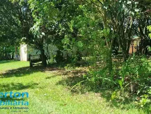 Sítio / Chácara para Venda em Uberlândia/MG Área Rural de Uberlândia 3 Quartos