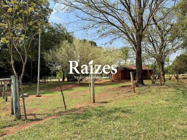 Sítio / Chácara para Venda em Uberlândia/MG Área Rural de Uberlândia 3 Quartos