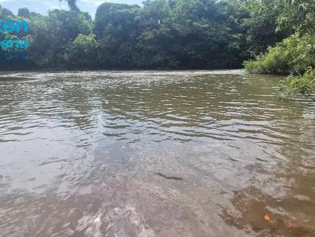 Sítio / Chácara para Venda em Uberlândia/MG Área Rural de Uberlândia 3 Quartos