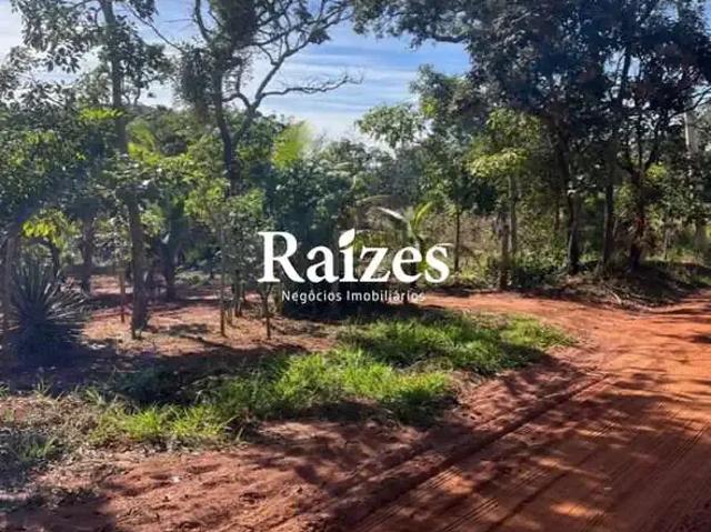 Sítio / Chácara para Venda em Uberlândia/MG Área Rural de Uberlândia 3 Quartos