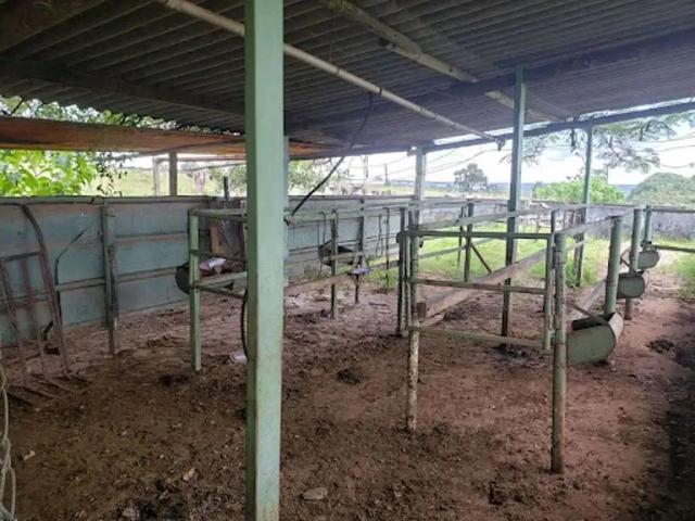 Sítio / Chácara para Venda em Uberlândia/MG Cazeca 8 Quartos