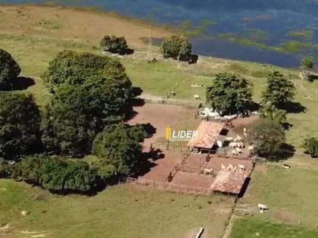 Sítio / Chácara para Venda em Uberlândia/MG Centro
