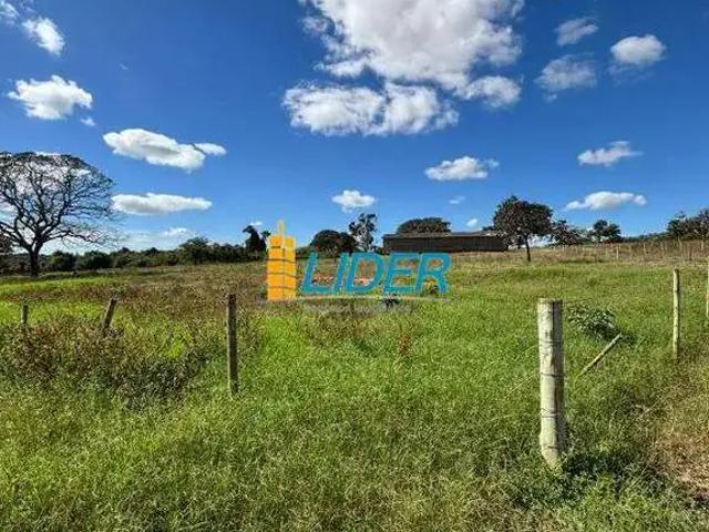 Sítio / Chácara para Venda em Uberlândia/MG Centro