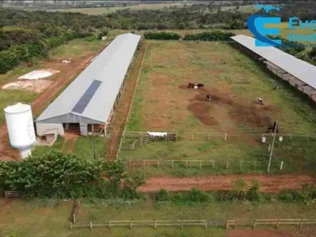 Sítio / Chácara para Venda em Uberlândia/MG Centro 3 Quartos