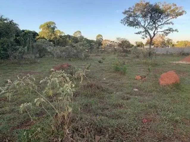 Sítio / Chácara para Venda em Uberlândia/MG Chácara Panorama