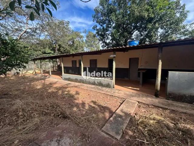 Sítio / Chácara para Venda em Uberlândia/MG Chácaras Oliveiras 3 Quartos