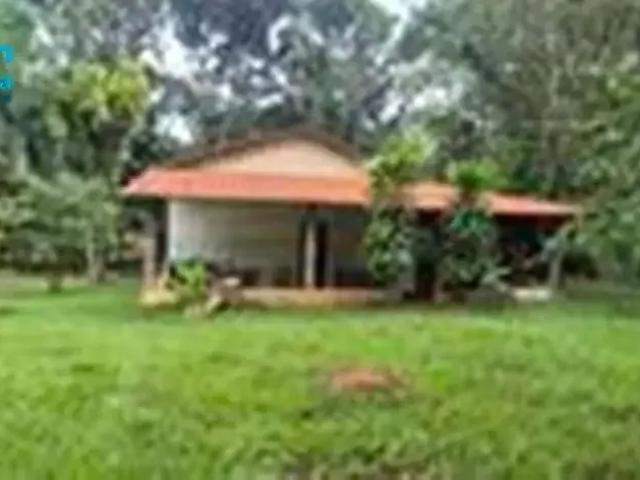 Sítio / Chácara para Venda em Uberlândia/MG Chácaras Eldorado 3 Quartos