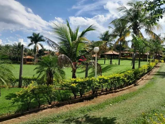 Sítio / Chácara para Venda em Uberlândia/MG Chácaras Eldorado 4 Quartos