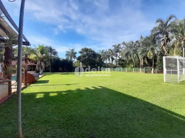 Sítio / Chácara para Venda em Uberlândia/MG Chácaras Eldorado 6 Quartos
