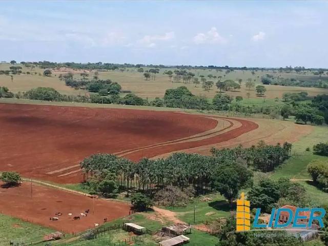 Sítio / Chácara para Venda em Uberlândia/MG Cruzeiro dos Peixotos