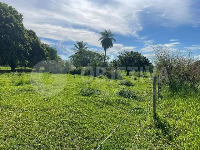Sítio / Chácara para Venda em Uberlândia/MG Jockey Camping