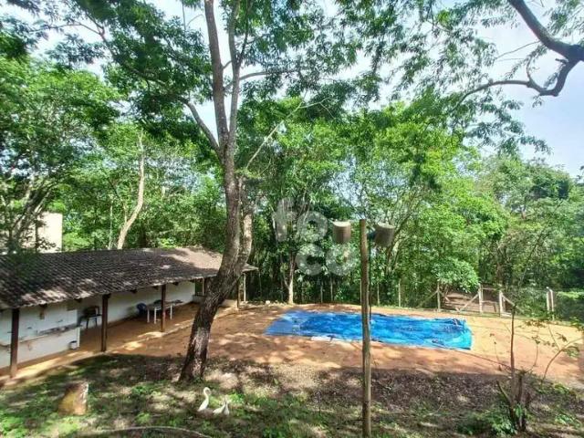 Sítio / Chácara para Venda em Uberlândia/MG Represa de Miranda 4 Quartos