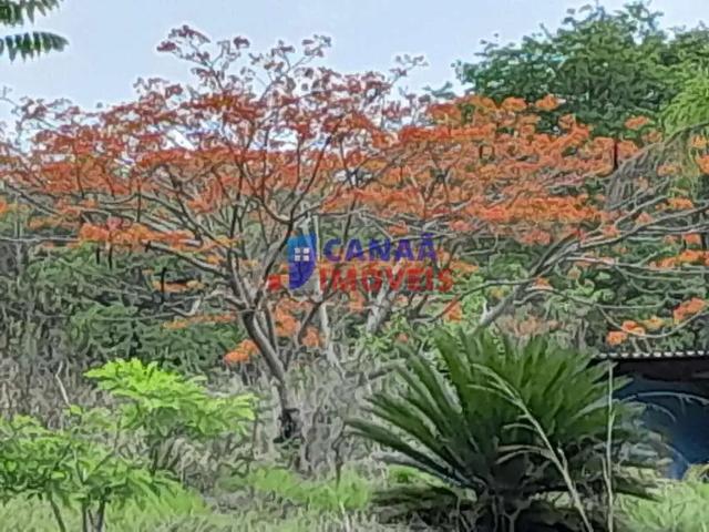 Sítio / Chácara para Venda em Uberlândia/MG Tapuirama 1 Quartos