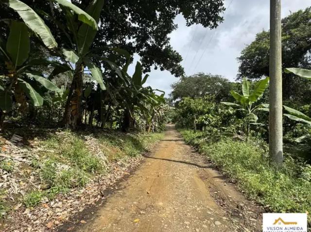 Sítio / Chácara para Venda em Uruçuca/BA Serra Grande 1 Quartos