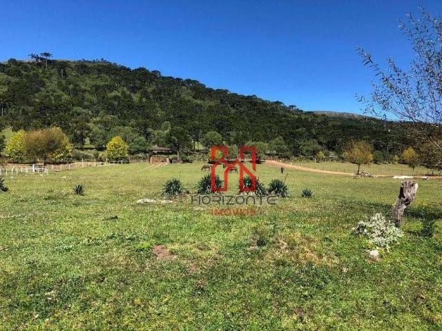 Sítio / Chácara para Venda em Urubici/SC Vacas Gordas