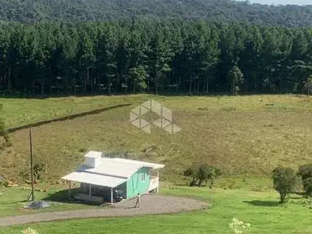 Sítio / Chácara para Venda em Urubici/SC Zona Rural