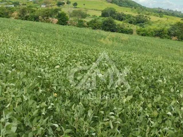 Sítio / Chácara para Venda em Uraí/PR Zona Rural