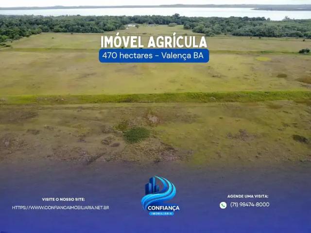 Sítio / Chácara para Venda em Valença/BA Guaibim