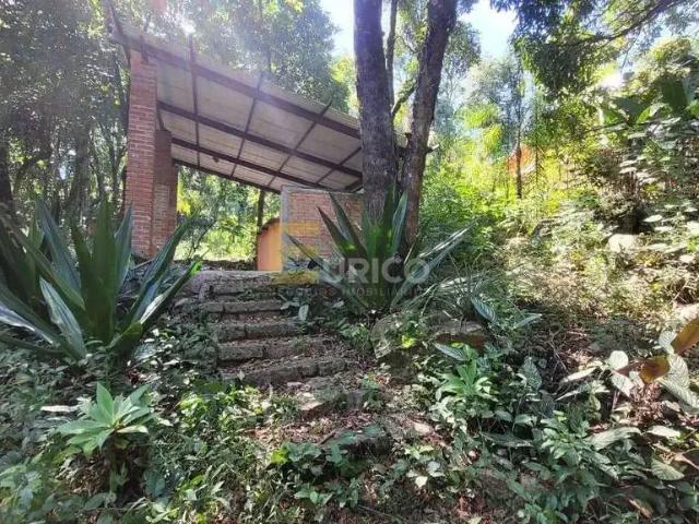 Sítio / Chácara para Venda em Valinhos/SP Chácaras Alpina 1 Quartos