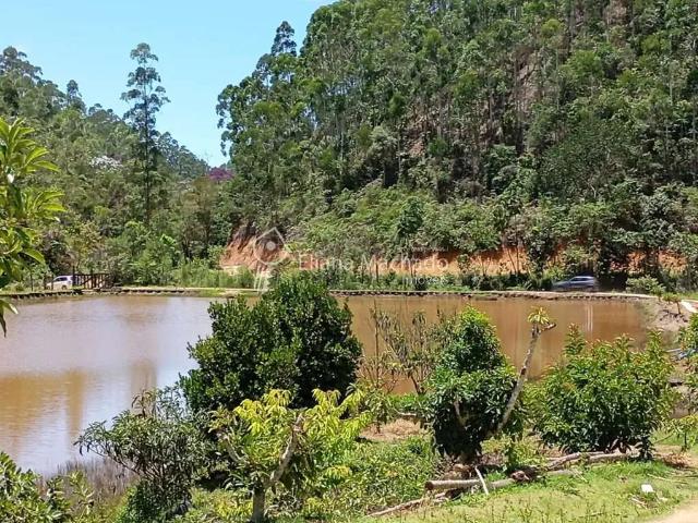 Sítio / Chácara para Venda em Vargem Alta/ES Alto Castelinho 4 Quartos