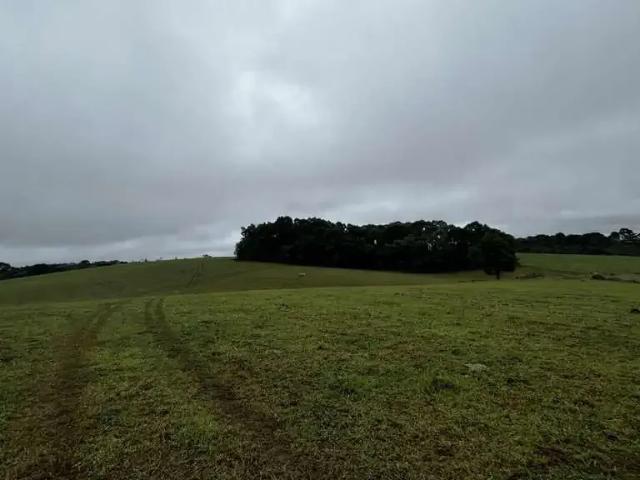 Sítio / Chácara para Venda em Vargem/SC Zona Rural
