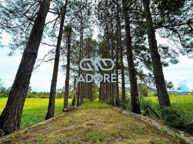 Sítio / Chácara para Venda em Vargem/SP Zona Rural 12 Quartos