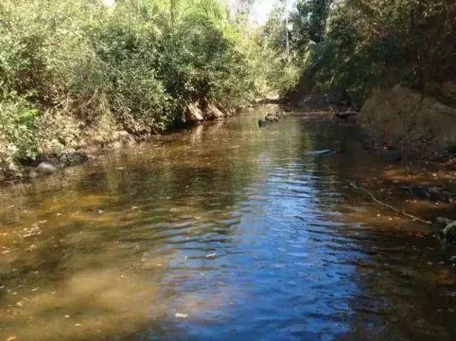 Sítio / Chácara para Venda em Várzea Grande/MT Área Rural de Várzea Grande 2 Quartos