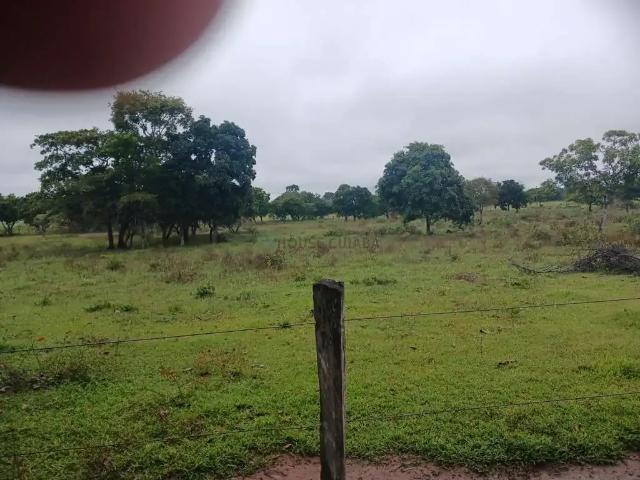Sítio / Chácara para Venda em Várzea Grande/MT Área Rural de Várzea Grande 2 Quartos