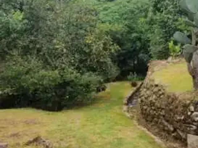 Sítio / Chácara para Venda em Várzea Paulista/SP Sítio do Mursa 3 Quartos