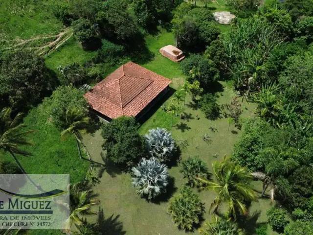 Sítio / Chácara para Venda em Vassouras/RJ Massambará 5 Quartos