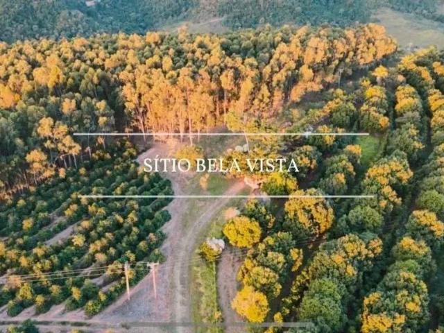 Sítio / Chácara para Venda em Vera Cruz/SP Centro 2 Quartos