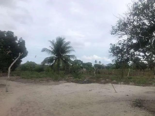 Sítio / Chácara para Venda em Vera Cruz/RN Centro 3 Quartos