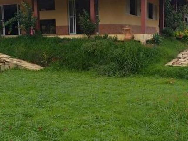 Sítio / Chácara para Venda em Vespasiano/MG Angicos 4 Quartos