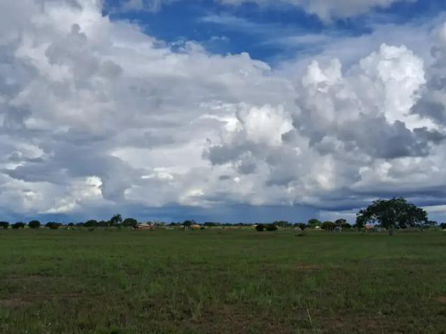 Sítio / Chácara para Venda em Vitória da Conquista/BA Centro