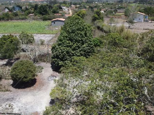 Sítio / Chácara para Venda em Vitória da Conquista/BA Lagoa das Flores 6 Quartos