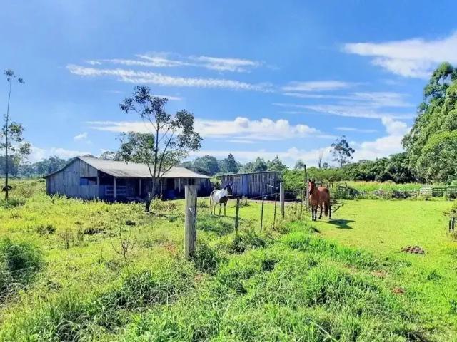 Sítio / Chácara para Venda em Viamão/RS Águas Claras 4 Quartos