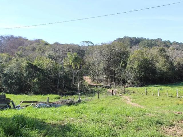 Sítio / Chácara para Venda em Viamão/RS Branquinha 3 Quartos