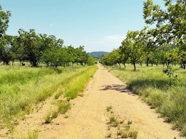 Sítio / Chácara para Venda em Viamão/RS Itapuã 1 Quartos