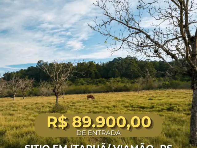 Sítio / Chácara para Venda em Viamão/RS Itapuã 1 Quartos