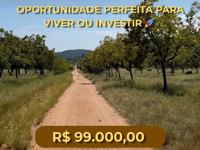 Sítio / Chácara para Venda em Viamão/RS Itapuã