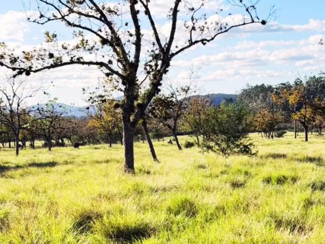Sítio / Chácara para Venda em Viamão/RS Itapuã