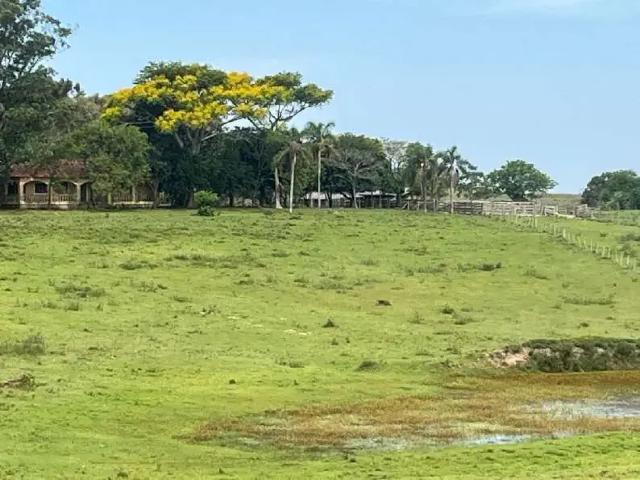 Sítio / Chácara para Venda em Viamão/RS Itapuã