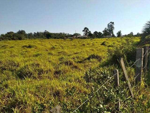 Sítio / Chácara para Venda em Viamão/RS Morro Grande